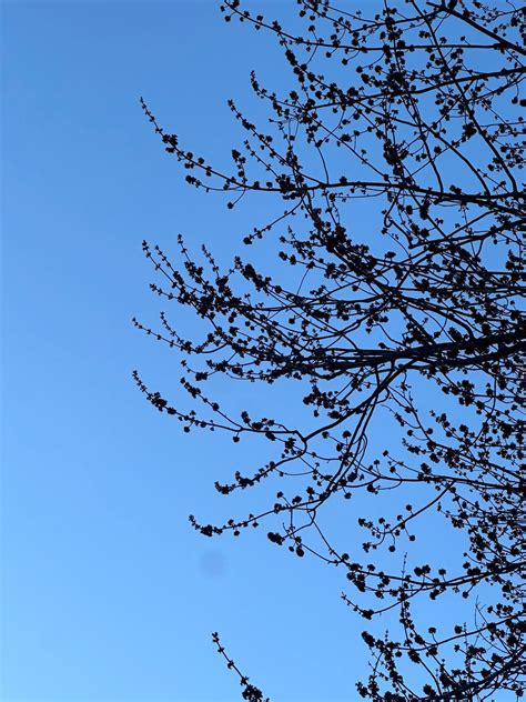 Alex Calamia Alex Calamia Added A New Photo