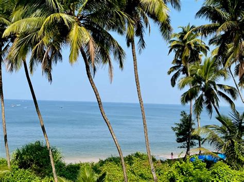 Ramesh Menon Is Tourism Destroying Goa Rediff India News