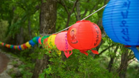Visit North Gyeongsang 2023 Travel Guide For North Gyeongsang South