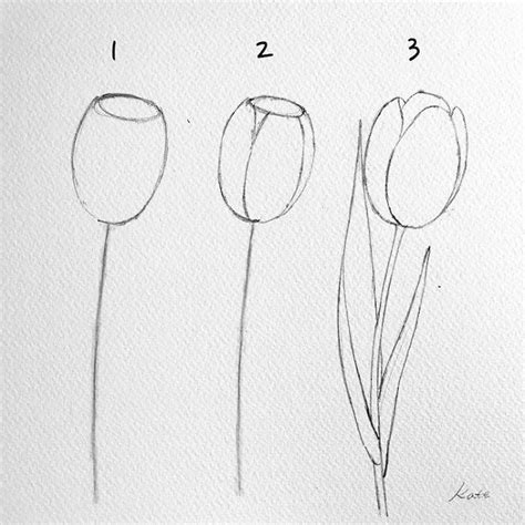 ศิลปินสาวเกาหลีสอนวิธีวาดดอกไม้ง่ายๆ ภายใน 3 ขั้นตอนเท่านั้น เพชรมายา