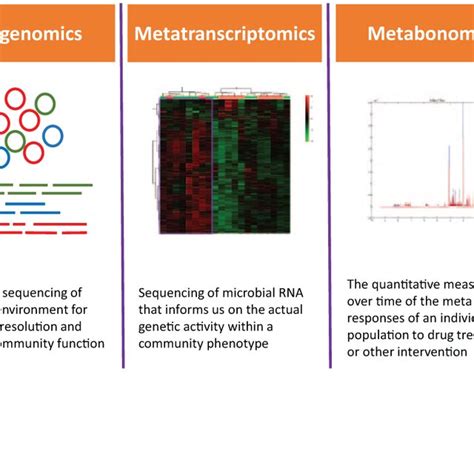 Overview Of The Functional Tree Map The Functional Tree Is A Circular
