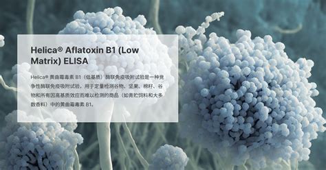 Aflatoxin B1 Low Matrix Elisa Hygiena
