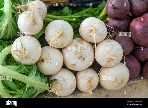 Vegetable Texture Background From Turnips With Tops Fresh White Root