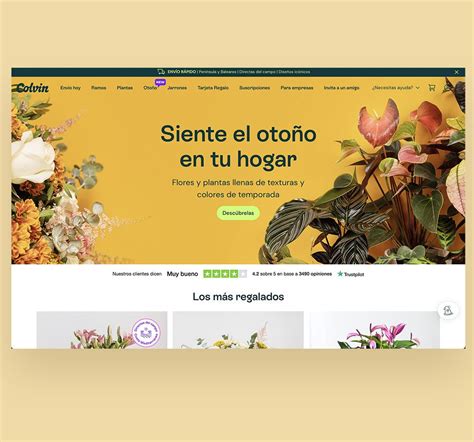 Modelos De Pagina Web