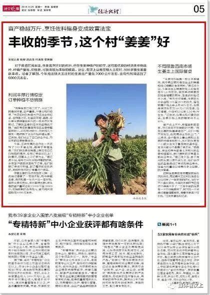 濟寧晚報｜10月29日 畝產穩超萬斤，烹飪佐料搖身變成致富法寶 豐收的季節，這個村「姜姜」好 每日頭條