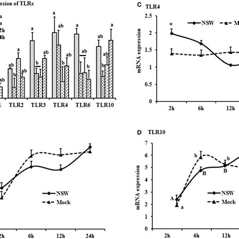 Principle Of Rt Mlpa Assay For Apoptosis Testing Rt Mlpa Real Time