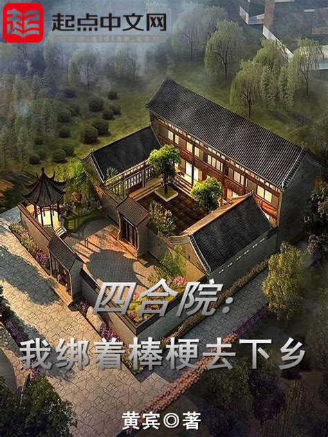 四合院我绑着棒梗去下乡小说在线阅读 首发起点中文网