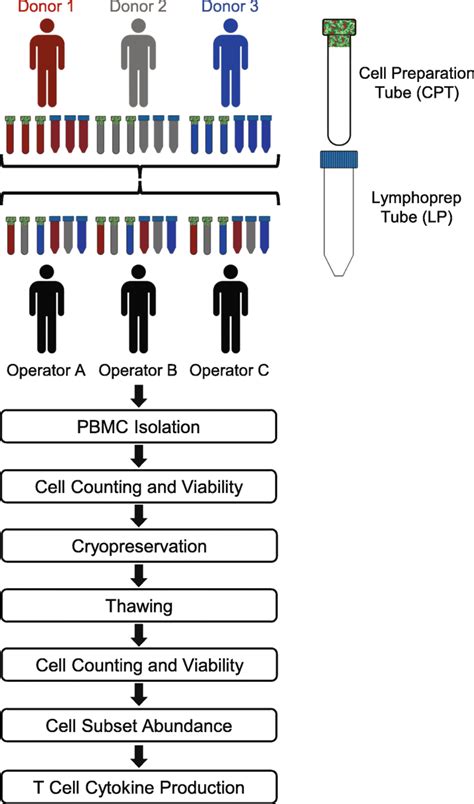 Schematic Of The Pbmc Sample Collection And Processing Six Aliquots Of