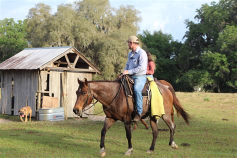 Gallery Riverbend Cattle Company