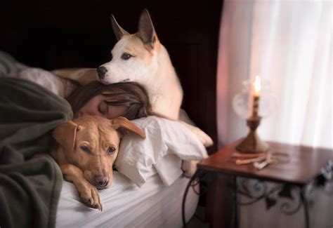 National Mutt Day Celebration