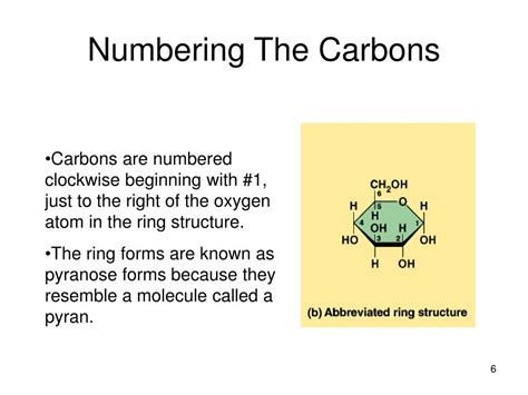 Ppt Chapter 5 The Structure And Function Of Macromolecules Powerpoint Presentation Id 431158
