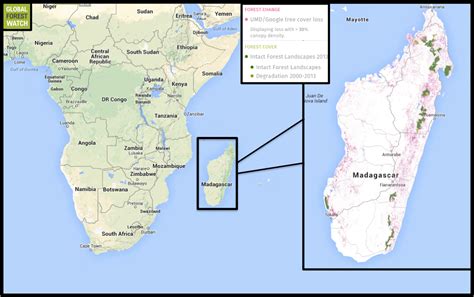 Ring Tailed Lemur Habitat Map Madagascars Most Famous Species Is Near