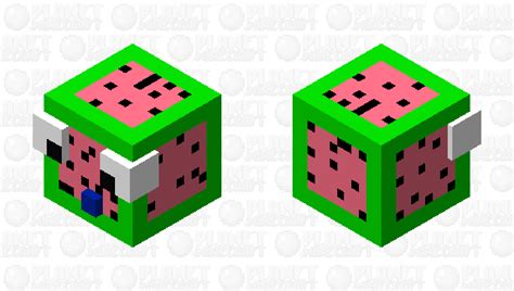 Watermelon Slime Minecraft Mob Skin