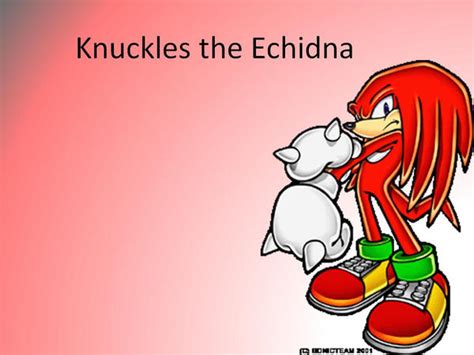 Kuckles Wallpaper By Legendary444 On Deviantart