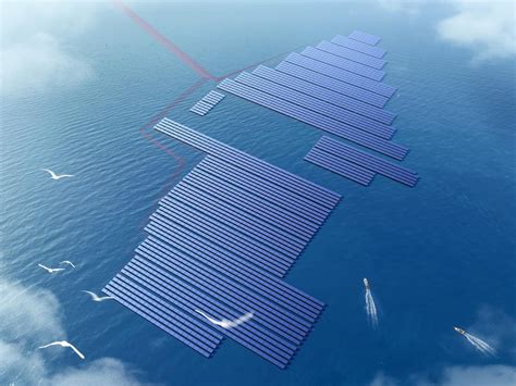 山东东营垦利100万千瓦海上光伏项目正式开工 中国能源新闻网