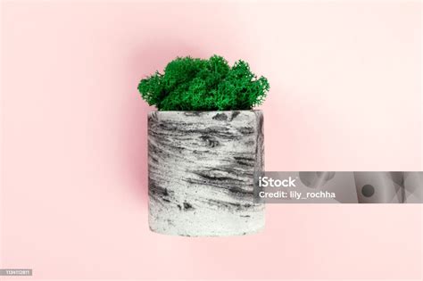 천연 이끼는 녹색을 안정 시켰다 화분에 꽃 에코 디자인 인테리어 평면도 평평한 누워 텍스트의 공간을 복사 합니다 0명에 대한