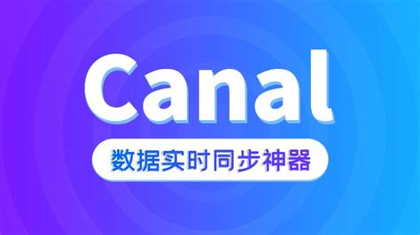 Canal视频 Canal技术视频教程 尚硅谷Canal视频下载