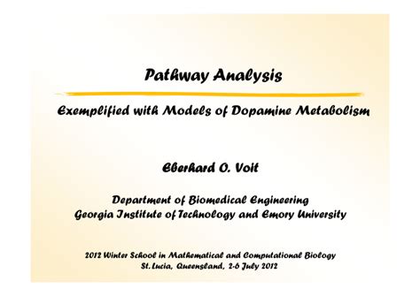 Ppt Pathway Analysis Exemplified With Models Of Dopamine Metabolism