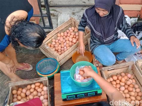 Berita Dan Informasi Update Harga Telur Terkini Dan Terbaru Hari Ini