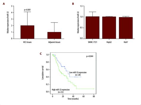 Expression Of Mir 32 In Hcc Tissues And Cell Lines And Correlation