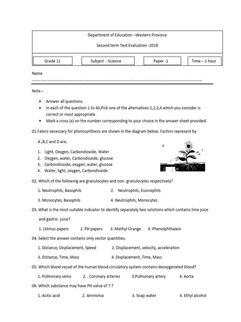 Science 2nd Term Test 2018 Provincial Past Papers Pdf Fluorescent