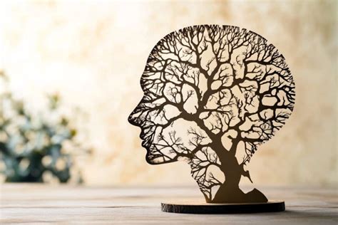 Insights On Brain Aging And Lifelong Cognitive Health Neuroscience News