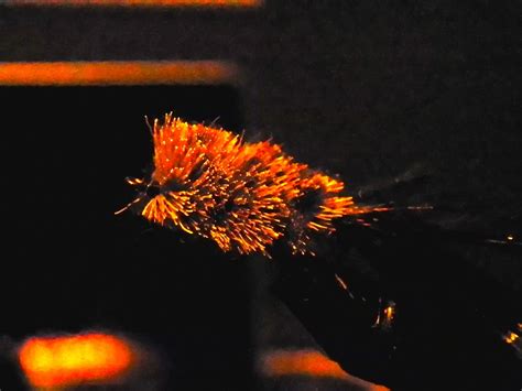 Fly Tying Bass Popper Wildfound