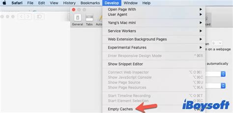Safari Not Working On Macmacbook How To Fix