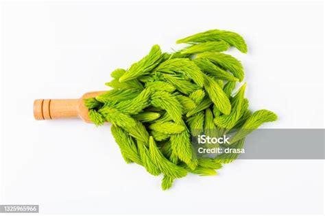 흰색 배경에 고립 된 나무 숟가락에 신선한 가문비 나무 촬영 건강한 식품 개념 0명에 대한 스톡 사진 및 기타 이미지 0명