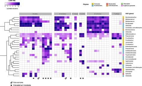 Heat Map Showing Relative Abundances Of Gut Microbes Present In Each
