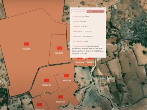 An Amazing Gis Web Mobile App For Managing Your Geospatial Data Upwork