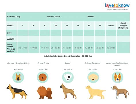 Free Dog Weight Chart Templates Customize Download And Print Pdf