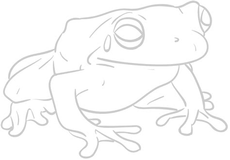 Frog 36654244 Vector Art At Vecteezy