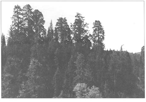 Groves Classification System Semantic Scholar