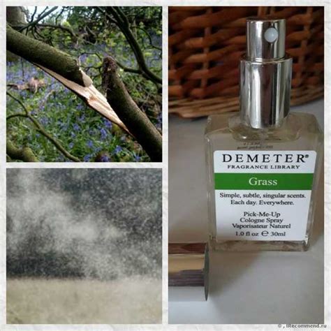 Demeter Grass Трава Отзывы о товарах