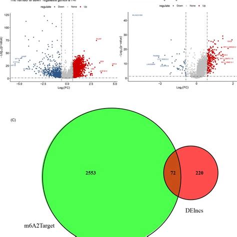 Prognostic Analysis And Clinical Phenotype Of Subgroups A