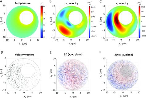 Simulation Results For Two And Three Dimensional Spherical Cell