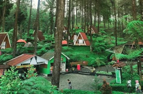 10 Rekomendasi Wisata Purwokerto Enak Banget Buat Ngadem Kabar Garut