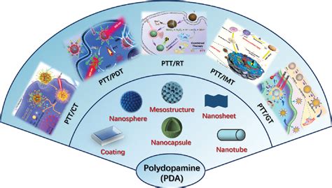 Figure 1 From Structurally Diverse Polydopamine Based Nanomedicines For