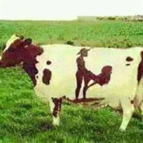 жинхэн монгол порно