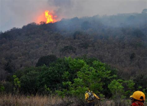 Combaten Cuatro Incendios Forestales En Nl
