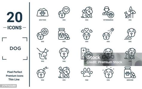개 선형 아이콘 세트입니다 얇은 라인 개 사료 개 의학 보고서 아이콘 프리젠 테이션 다이어그램 웹 디자인을 포함합니다 수의사에 대한 스톡 벡터 아트 및 기타 이미지 Istock
