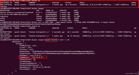 Docker学习（十九、network使用示例bridge）