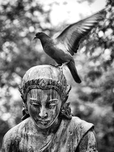 Premium Photo Bird On Statue