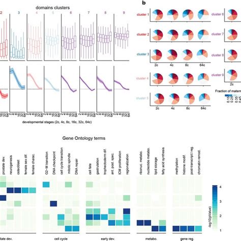 gene expression and functional annotation of domain clusters a