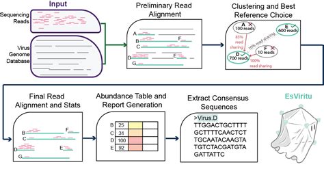Pipeline Description Esviritu