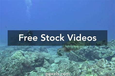 Goan Fish Curry Videos Download The Best Free 4k Stock Video Footage