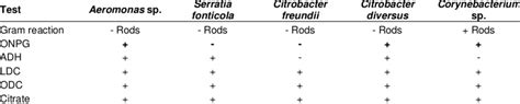 Microscopic And Biochemical Characterization Of The Hydrocarbon Download Scientific Diagram