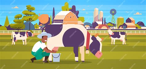 양동이 농장 국내 가축 가축 신선한 우유 개념 평면 수평 농지 헛간 시골 풍경 전체 길이 가로에 농부 젖 짜기 암소 프리미엄 벡터