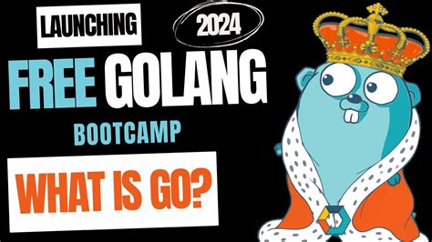 episode 1 what is go an introduction to golang golanguage